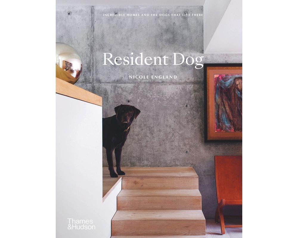 Resident Dog Incredible Homes and the Dogs That Live There Hardcover Book