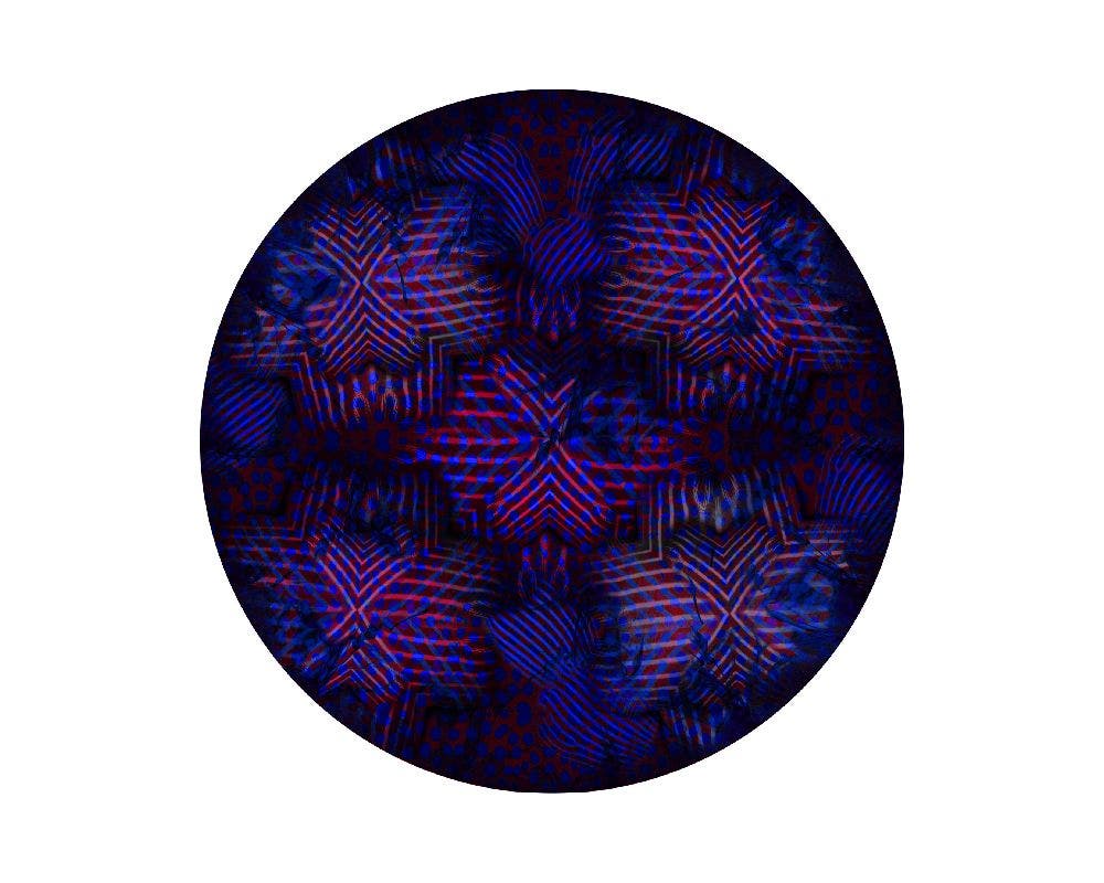 Moooi Umbrella Squid Carpet